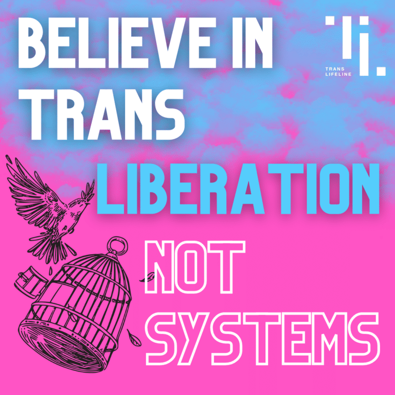 Until We're All Free: Holiday Commissary Fundraiser - Trans Lifeline